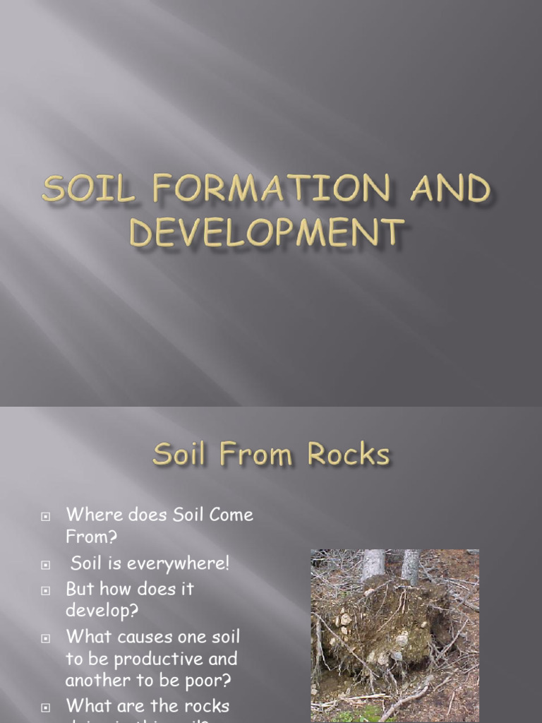 Section 6-Soil Formation and Development | PDF | Rock (Geology ...
