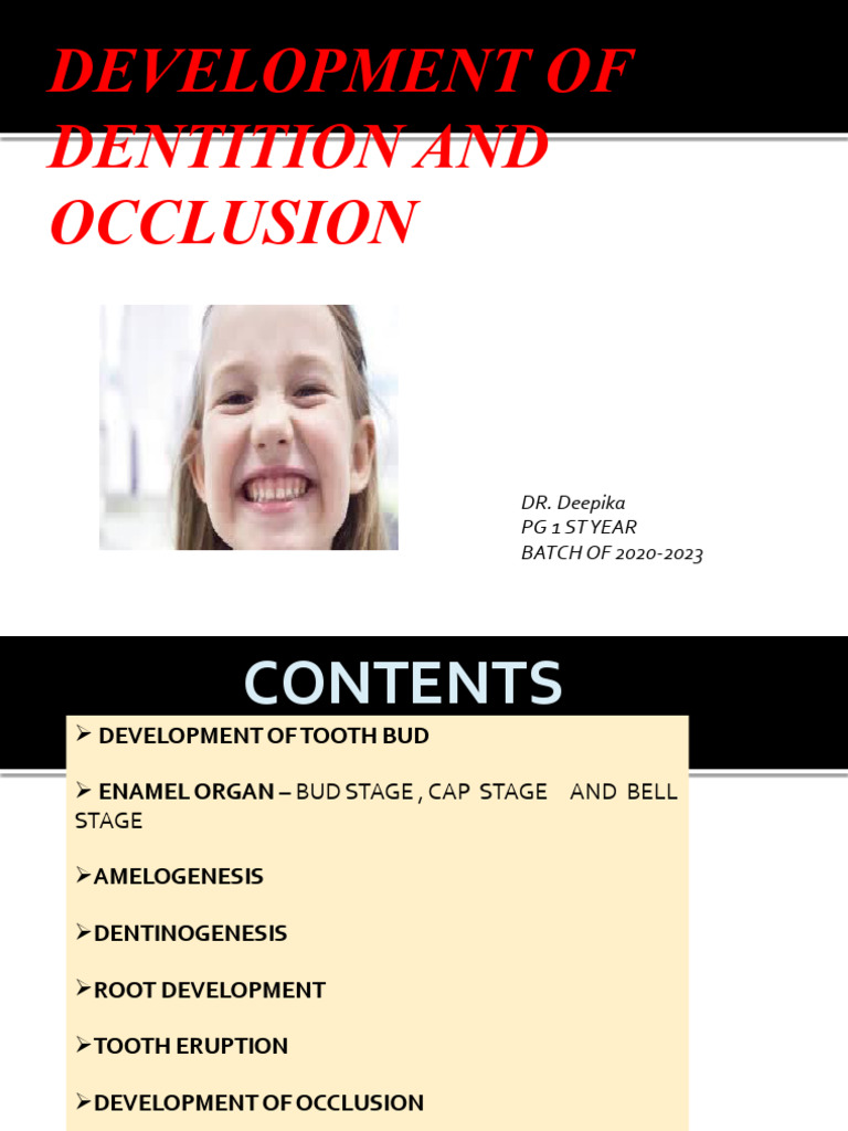 Development of Dentition | PDF | Dental Anatomy | Human Tooth