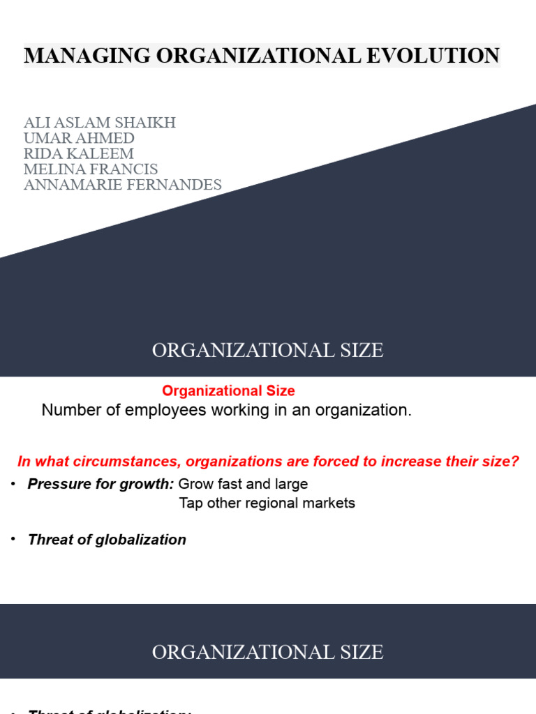 Organizational Evolution and Management Strategies | PDF | Market ...