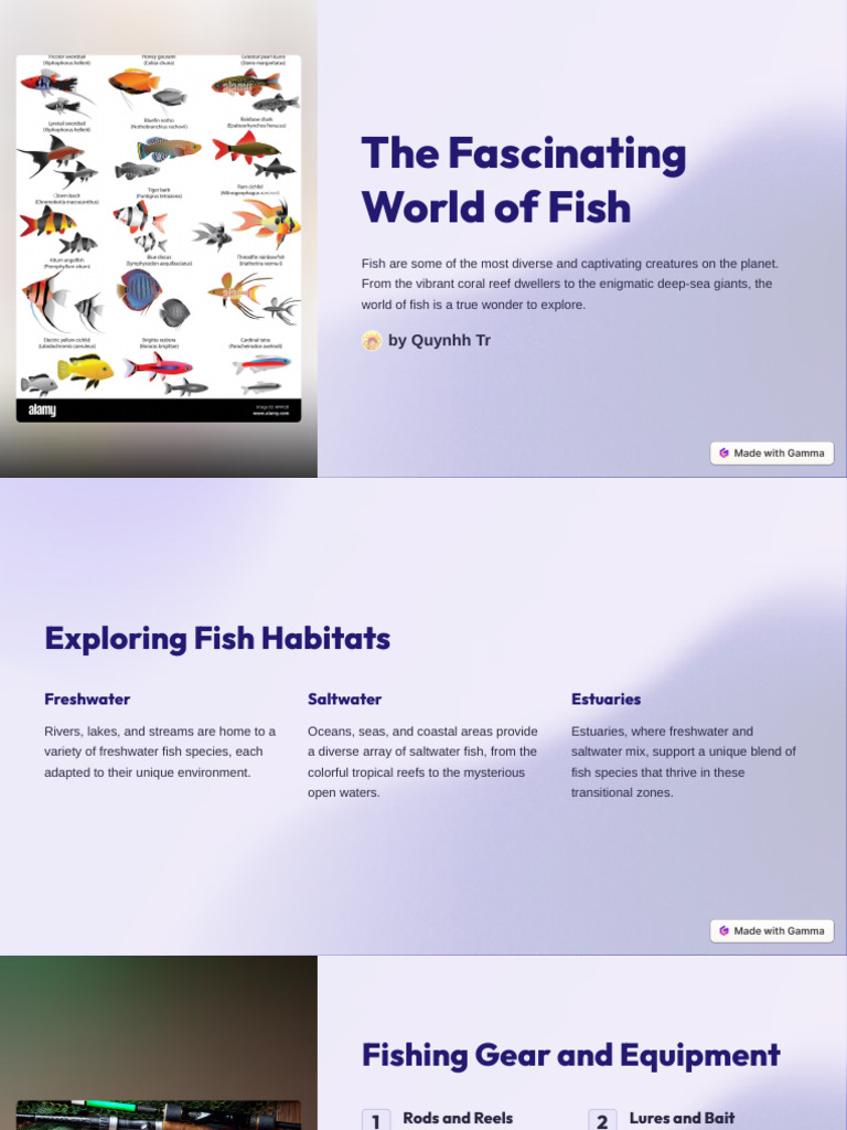 Fishing Insights and Regulations Guide | PDF | Fishing Tackle | Outdoor ...