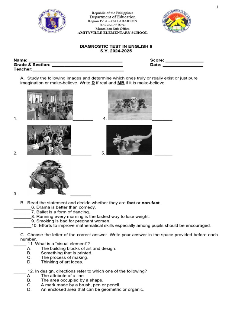 Diagnostic Test - English 6 | PDF | Color