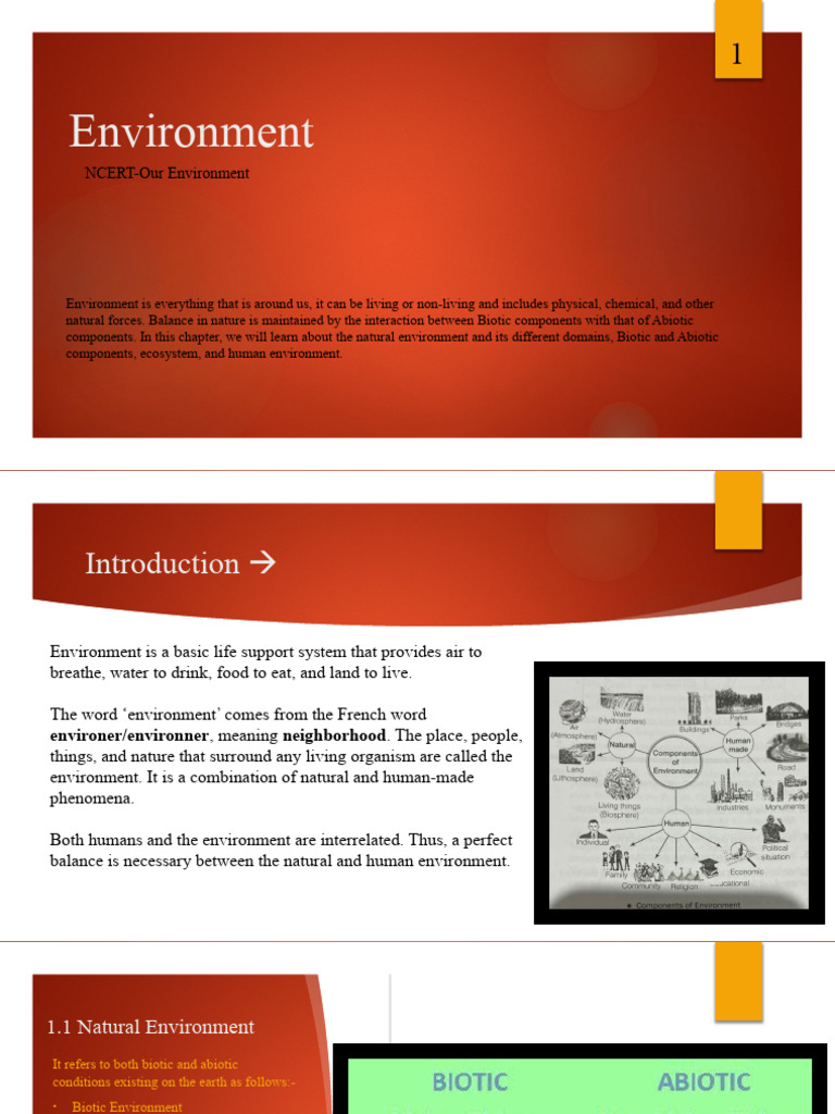 Environment Chapter 1 Geography | PDF | Atmosphere Of Earth | Atmosphere