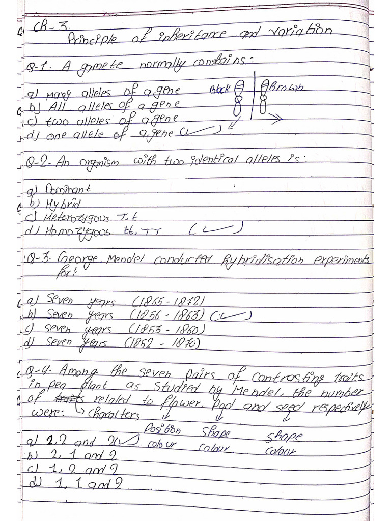 Mcq's and Pyq's of Chapter Principles of Inheritance and Variations | PDF