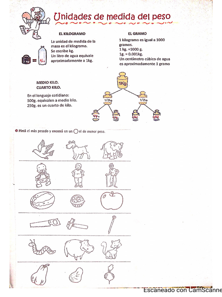 Unidades de Medida y Peso | PDF