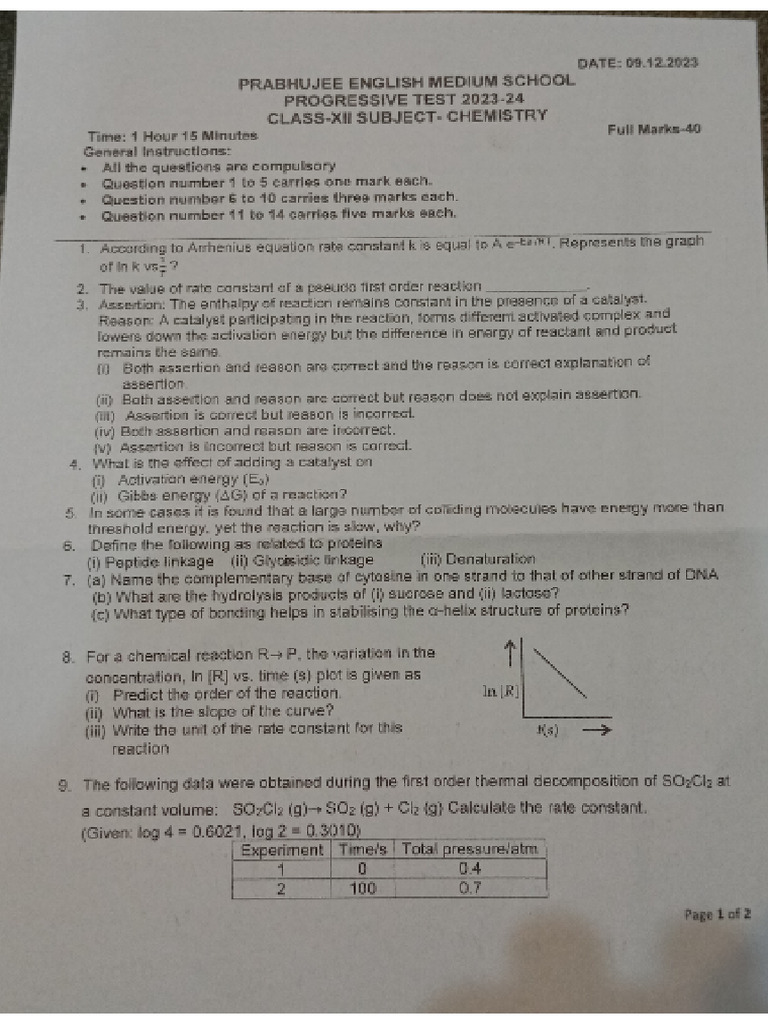 Progressive Test 2023-2024 | PDF