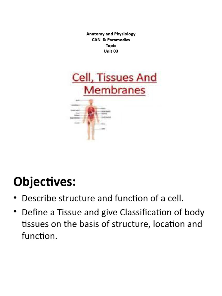 Unit 03 Cell, Tissue & Membranes | PDF | Epithelium | Tissue (Biology)