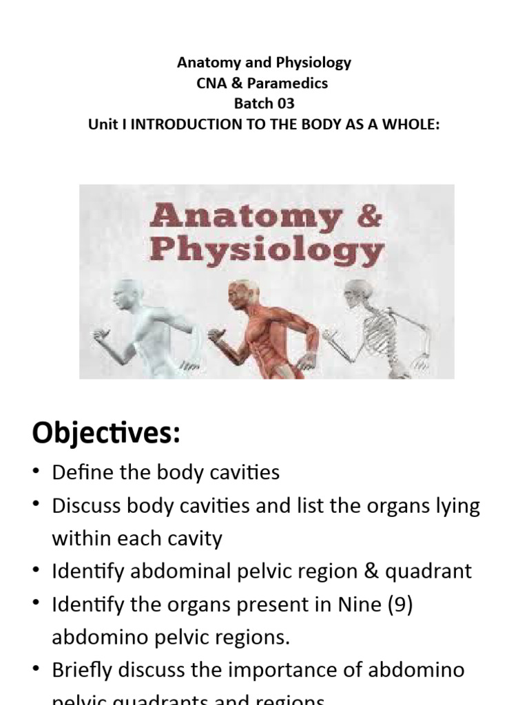 Unit 01 B Anatomy and Physiology | PDF | Abdomen | Anatomy