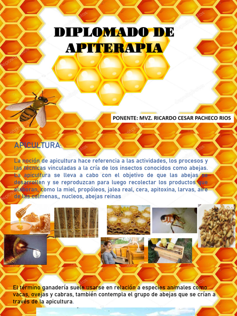 Diplomado en Apiterapia y Polinización | PDF | Apicultura | Miel