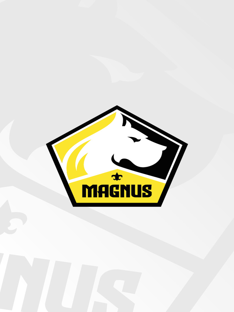 MAGNUS | PDF