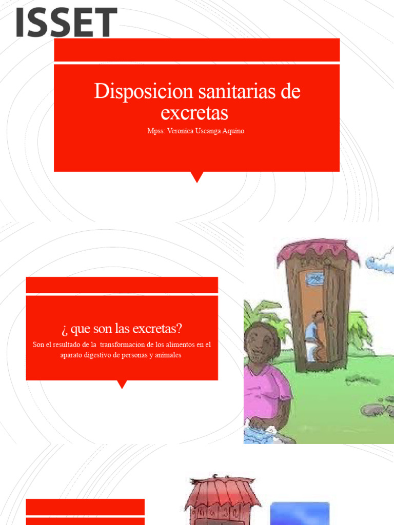 Manejo Seguro de Excretas | PDF
