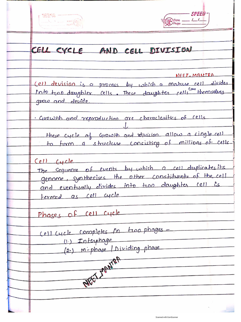 Cell Cycle and Cell Division | PDF