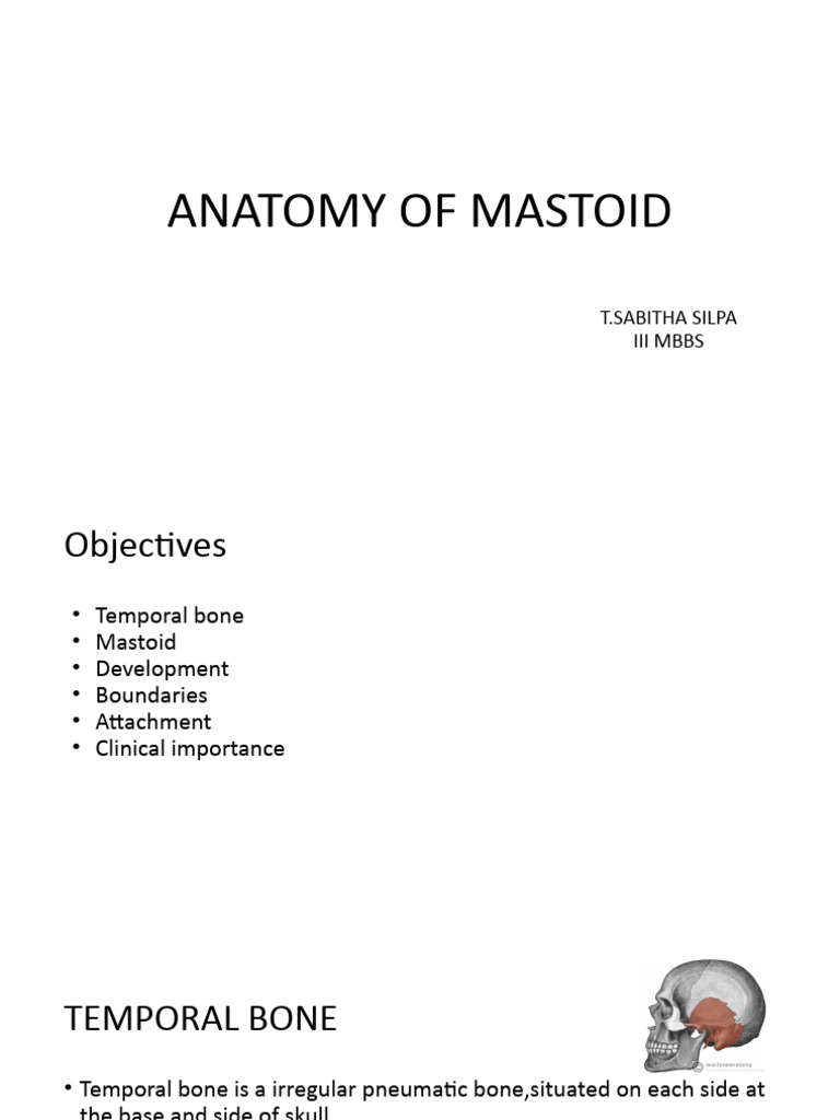 Mastoid Anatomy and Clinical Significance | PDF | Skull | Auditory System