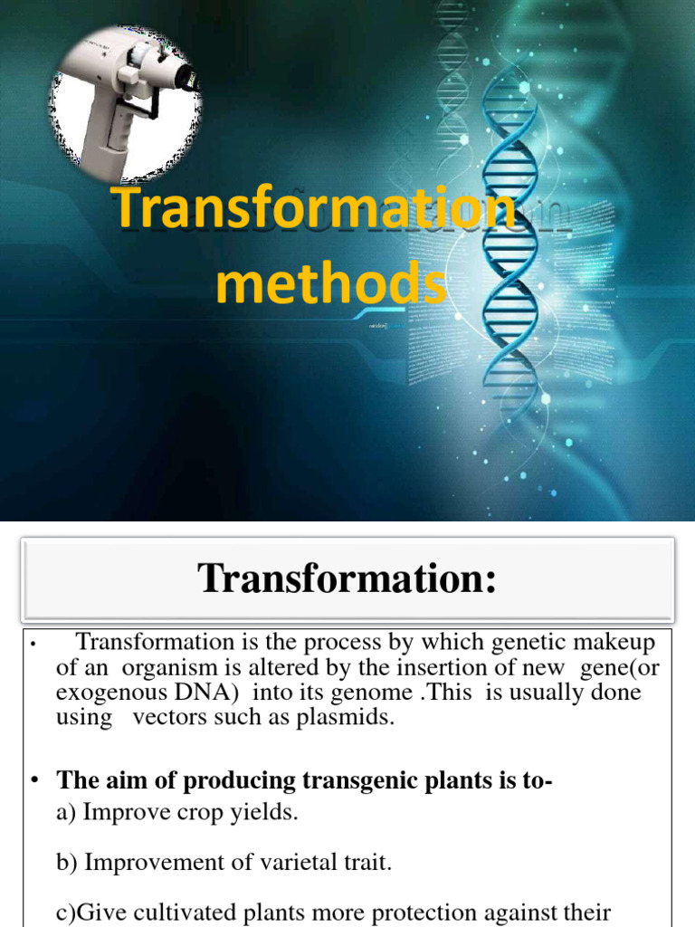 genetransformationmethods | PDF | Transformation (Genetics) | Molecular Genetics