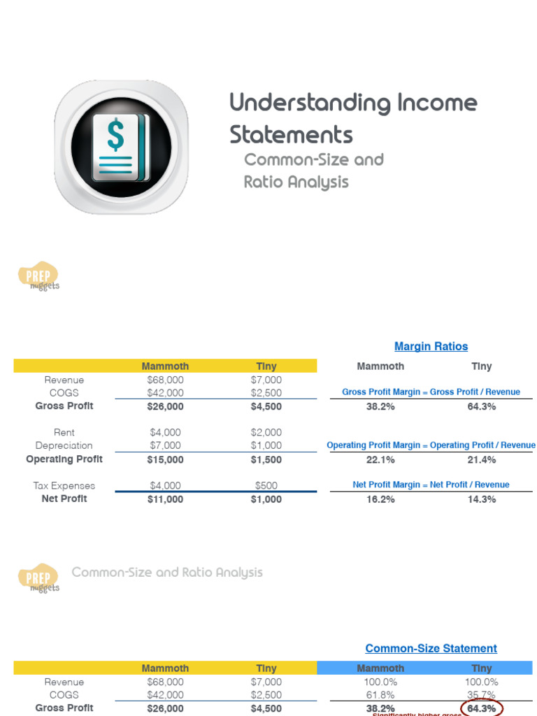Slides - Income Statements - Common-Size and Ratio Analysis | PDF | Net ...