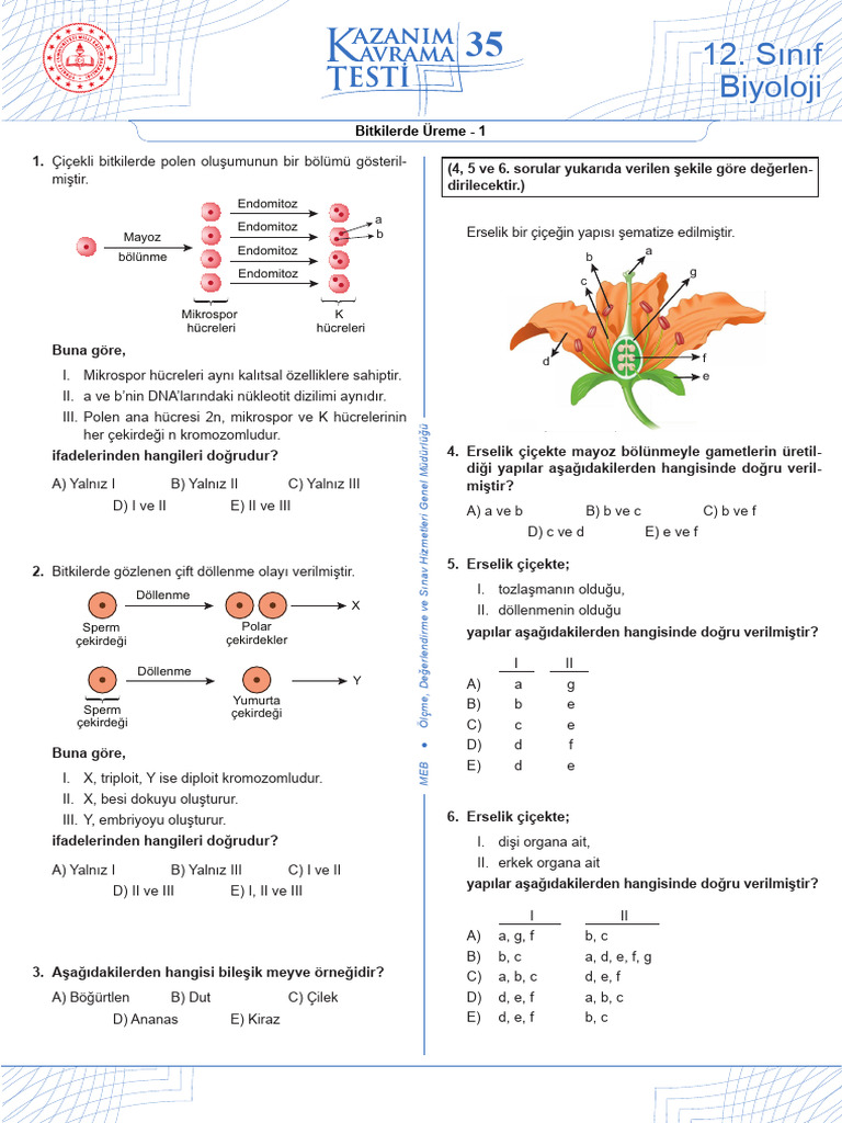 Sınıf Biyoloji Biyoloji: Bitkilerde Üreme - 1 | PDF