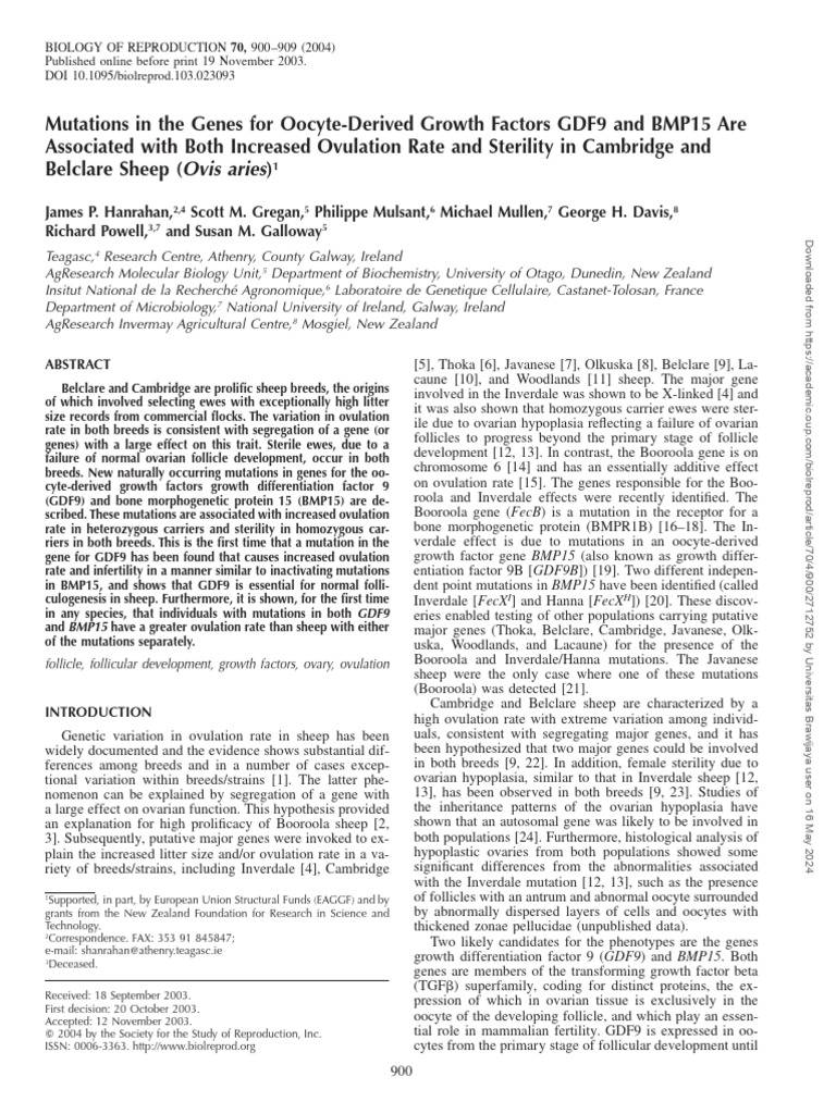 Domba BMP and GDF Animals | PDF | Genetics | Life Sciences
