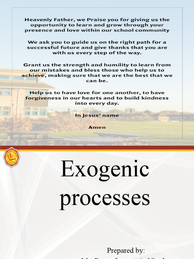 Lesson 5 Exogenic Processes | PDF | Weathering | Erosion