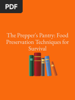 Prepping Matrix (V 1.0) | PDF | Foreign Language Studies | Wellness