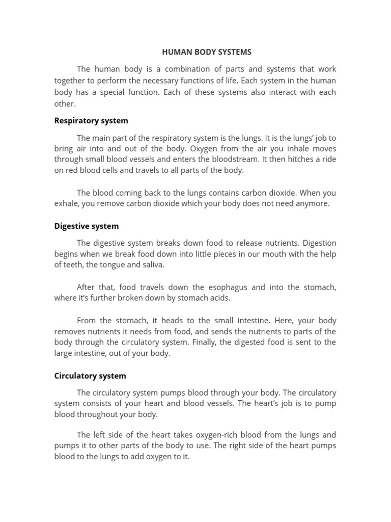 Human Body Systems | PDF | Senses | Human Body
