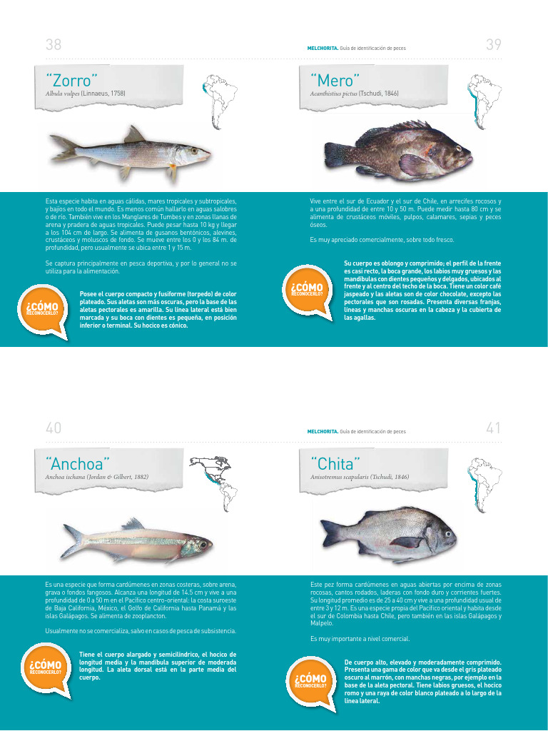 peses | PDF | Pescado