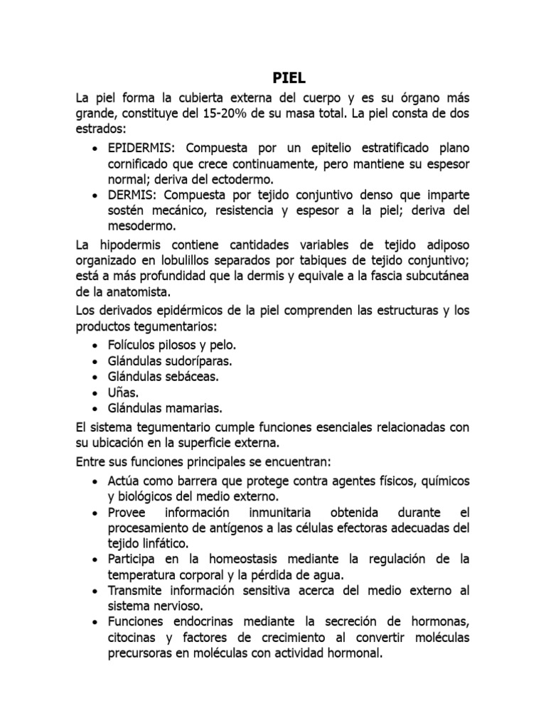 Piel Pdf Piel Epidermis