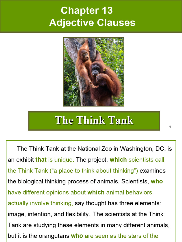 UUEG Chapter13 Adjective Clauses | PDF | Thought | Zoo