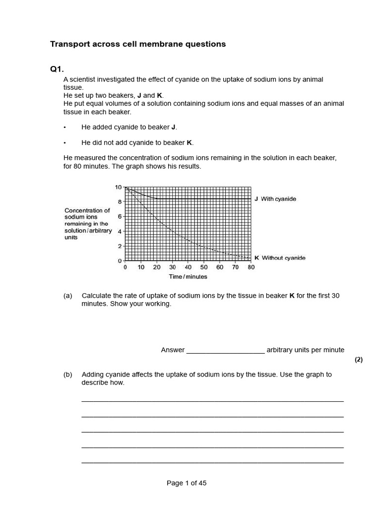 3.2.3 Transport Across Cell Revision Questions & Answers | PDF | Cell Membrane | Biology