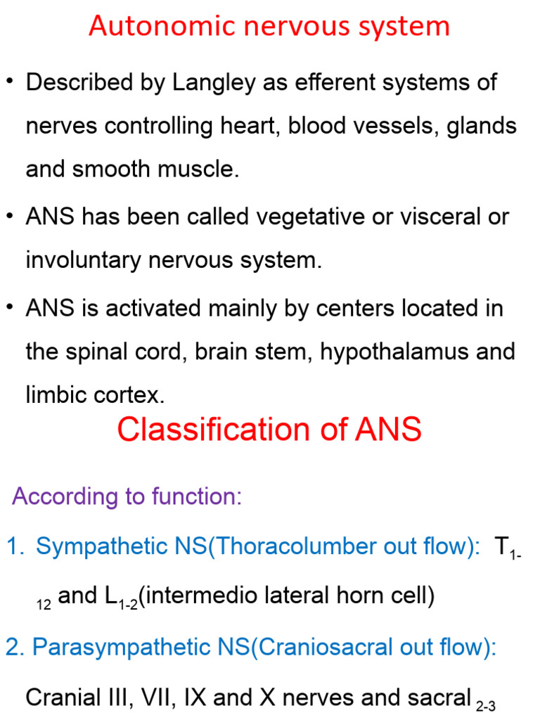 Autonomic Nervous System | PDF | Autonomic Nervous System | Anatomy