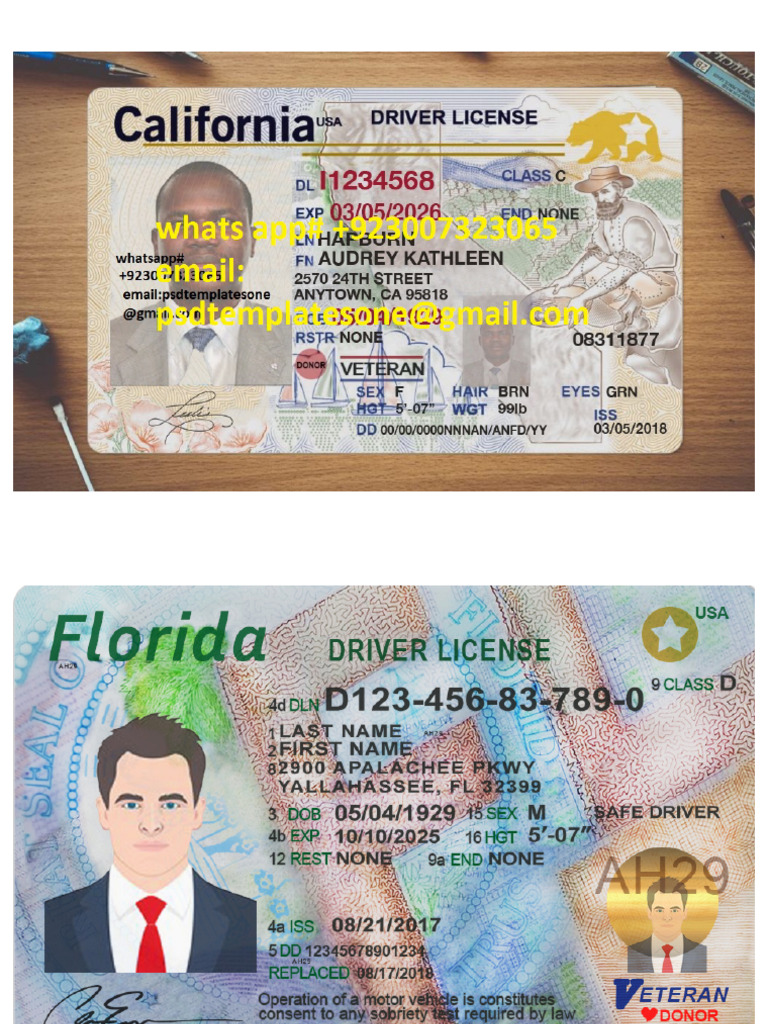 California Driving License Template PSD | PDF