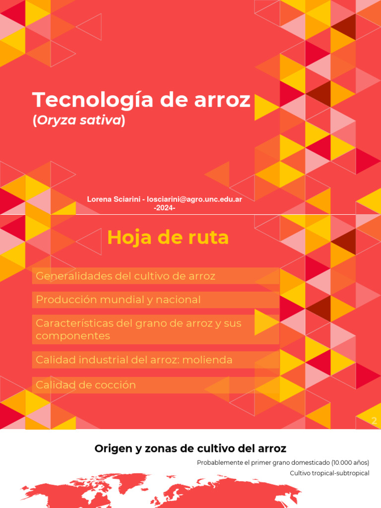 Arroz | PDF | Arroz | Agricultura