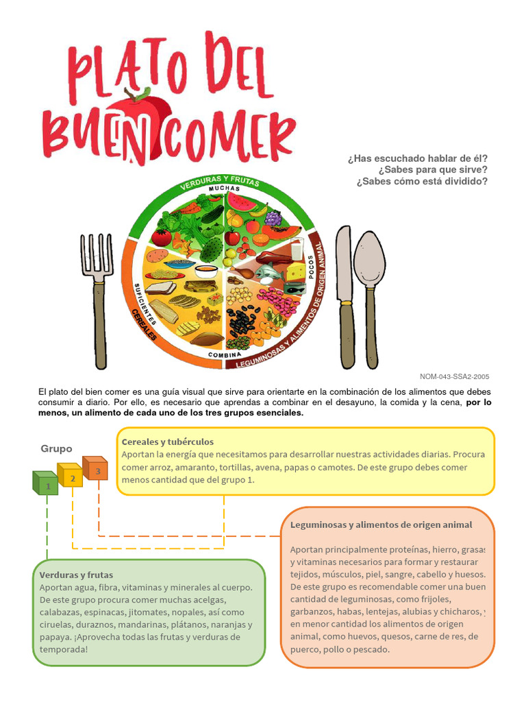 El Plato del Bien Comer: Guía Esencial | PDF | Salud y bienestar