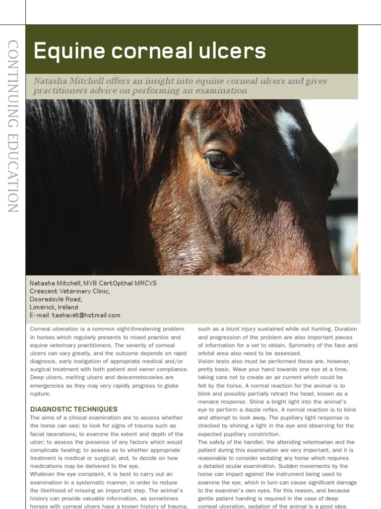 Equine Corneal Ulcers Lowres | PDF | Cornea | Human Eye
