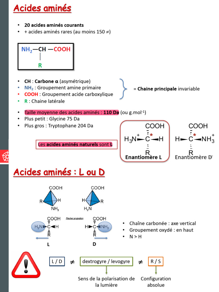 Acides Aminés : Structure et Rôles | PDF | Structure de la protéine ...