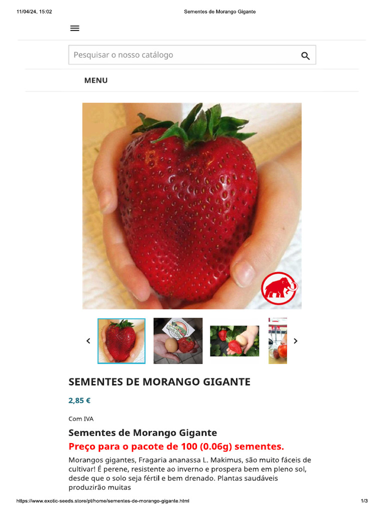 Sementes de Morango Gigante | PDF
