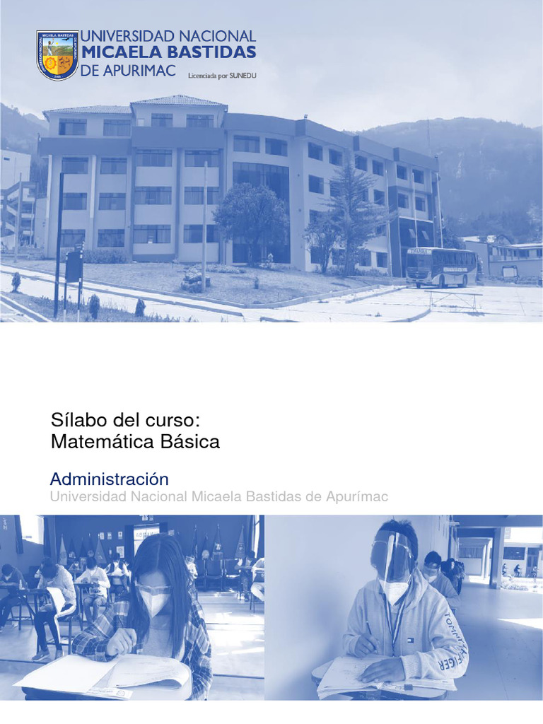 Silabo de Matematica Basica 2024-1 | PDF | Ecuaciones | Matriz (Matemáticas)