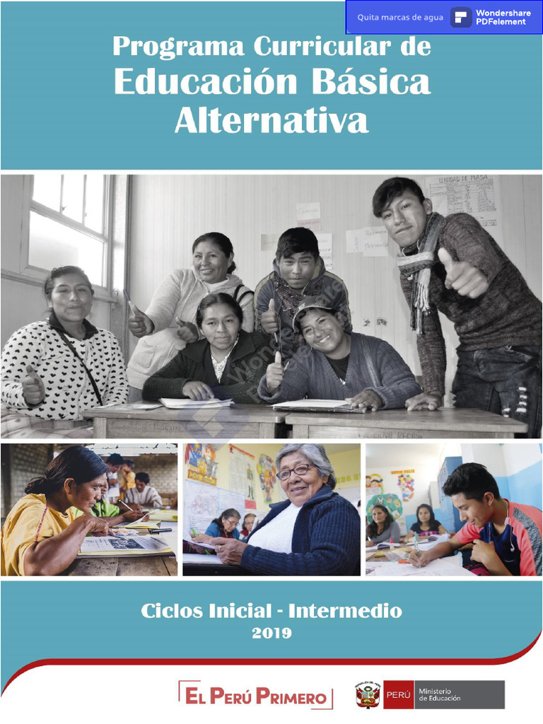 Programa Curricular de Educación Básica Alternativa. Ciclos Inicial ...