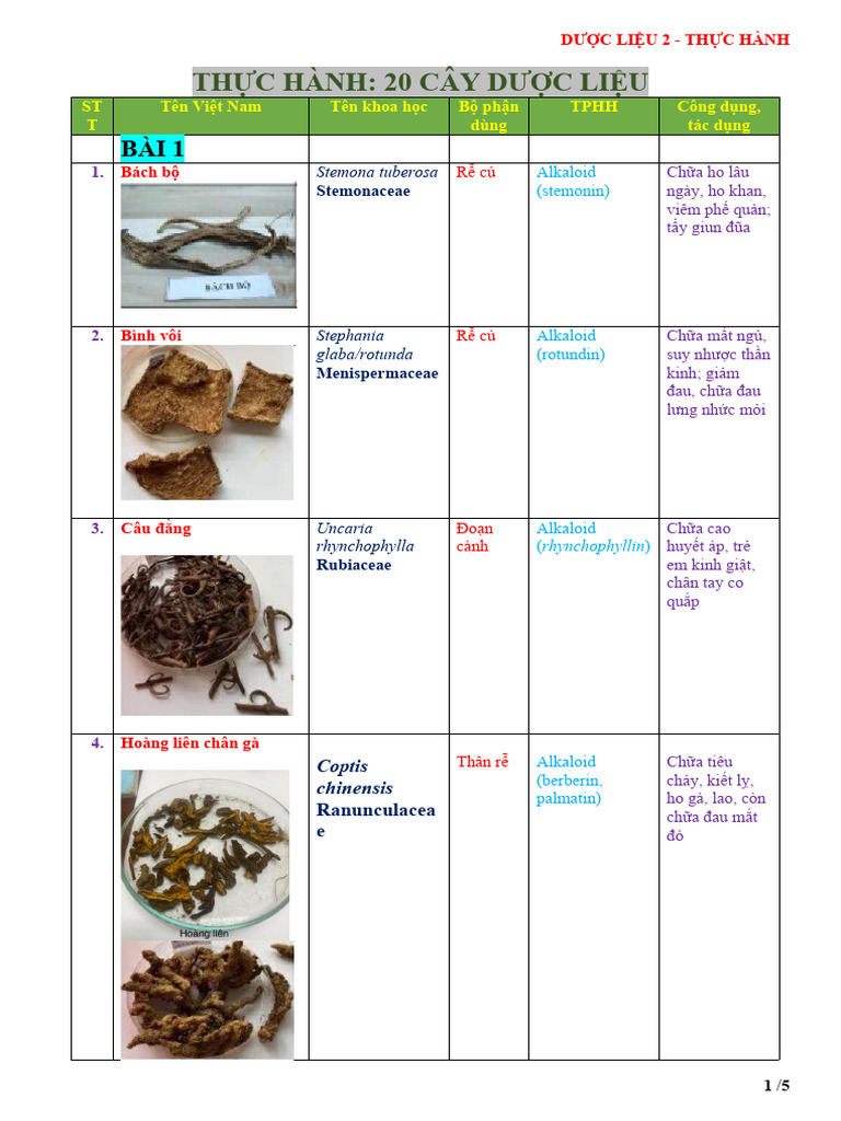 20 Cay Duoc Lieu 2 | PDF