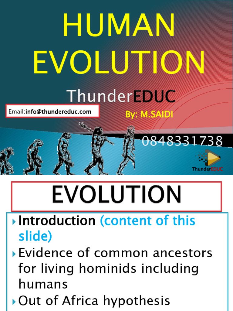 Human Evolution: Key Evidence & Concepts | PDF | Homo | Vertebral Column