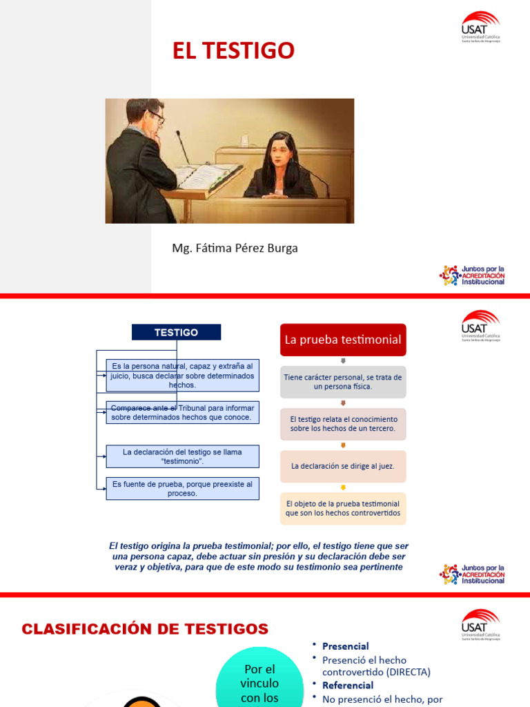 El Testigo | PDF | Testigo | Testimonio