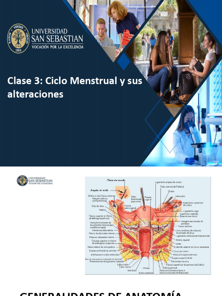 CLASE 3 Ciclo Menstrual Normal | PDF | Ciclo menstrual | Ovario