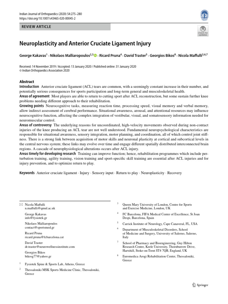 Neuroplasticity in ACL Injury Recovery | PDF | Knee | Neuroplasticity