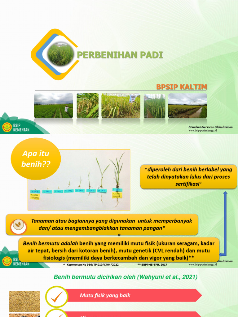 Materi Benih Padi | PDF
