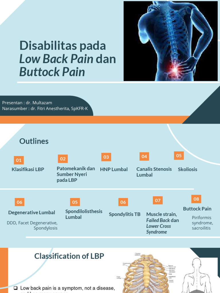 Low Back and Buttock Pain Overview | PDF | Scoliosis | Back Pain
