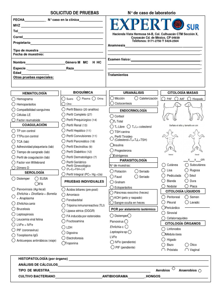 Formato de Solicitud de Prueba 2020-09.. | PDF | Especialidades Medicas | Medicina CLINICA