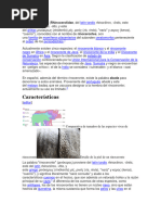 Pez rosado con manos: características y hábitat | PDF | Pescado | Zoología