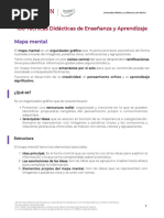 Cómo hacer un mapa cognitivo de panal | PDF