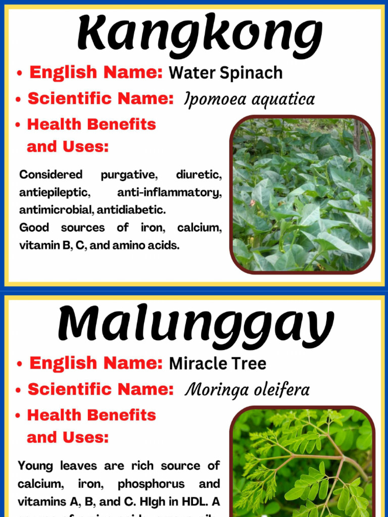 Gulayan Sa Paaralan Signages | PDF