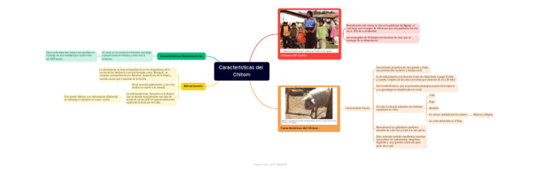 Caracteristicas Del Chitom | PDF