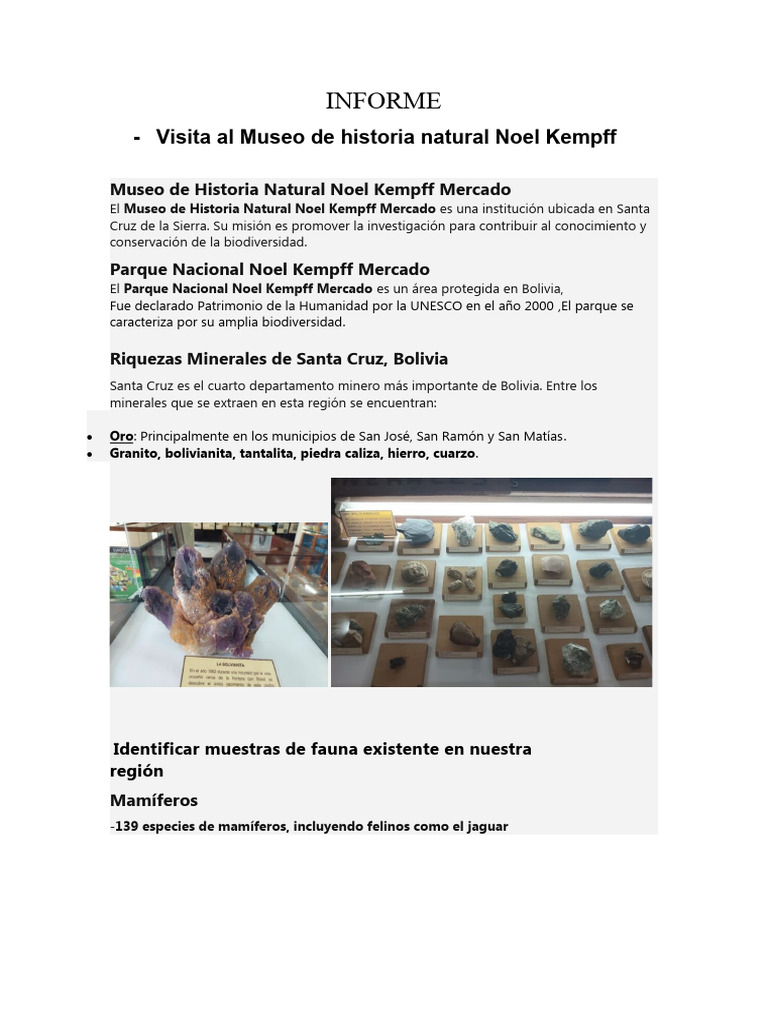 Informe Visita Al Museo | PDF