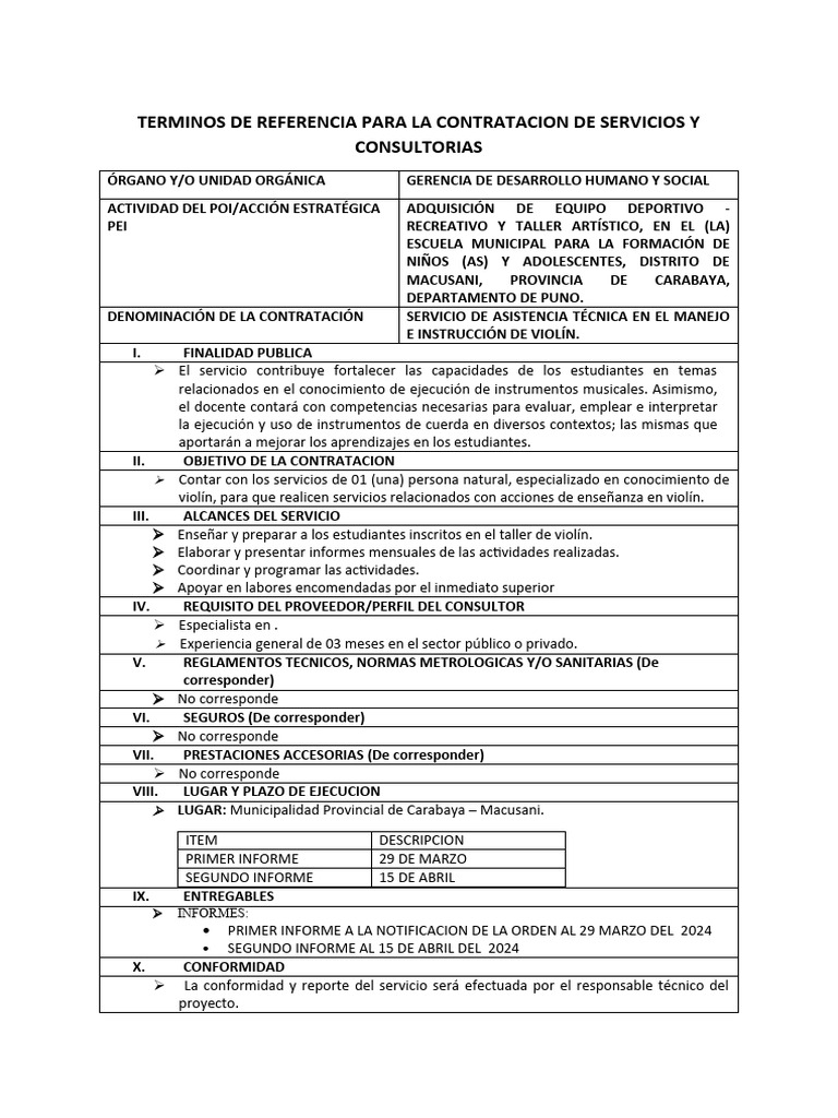 TDR 2024-Docente Violin | PDF | Corrupción política